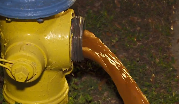 Brown water draws concerns in Houma | wwltv.com