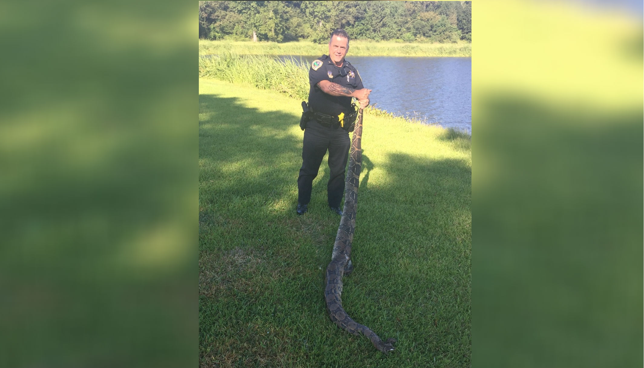 Boa constrictor killed in Louisiana park | khou.com